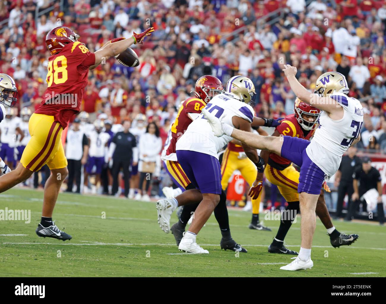 20231104 88 hi-res stock photography and images - Alamy