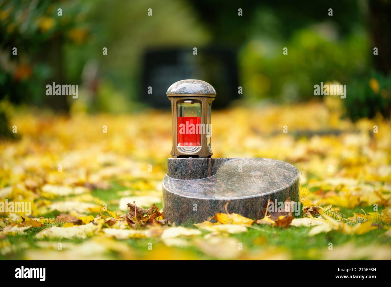 grave lantern on an urn gravestone in a meadow covered with autumn leaves Stock Photo - Alamy