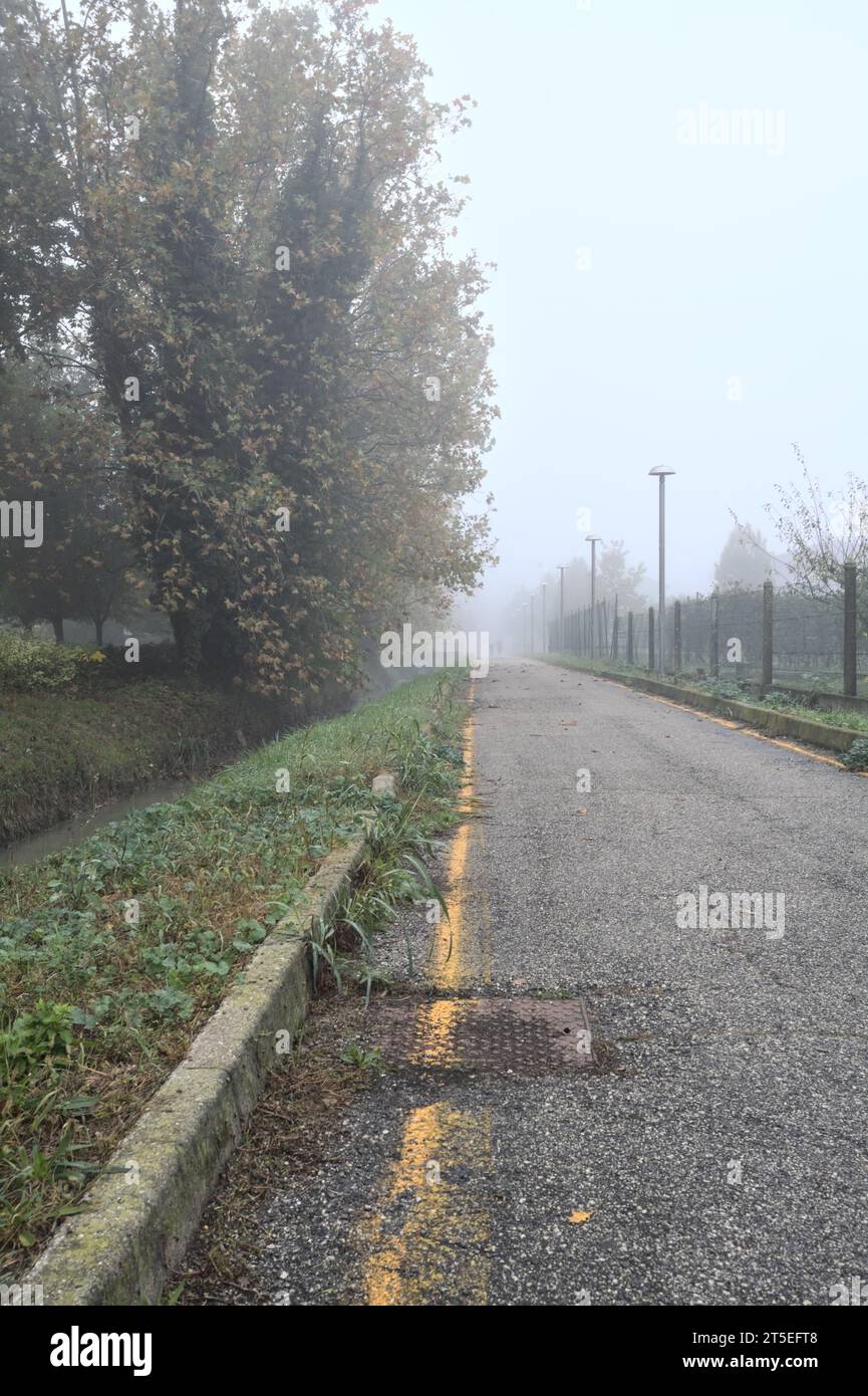 Bike lane on a foggy day next to a trench with water on a foggy day in the italian countryside ...
