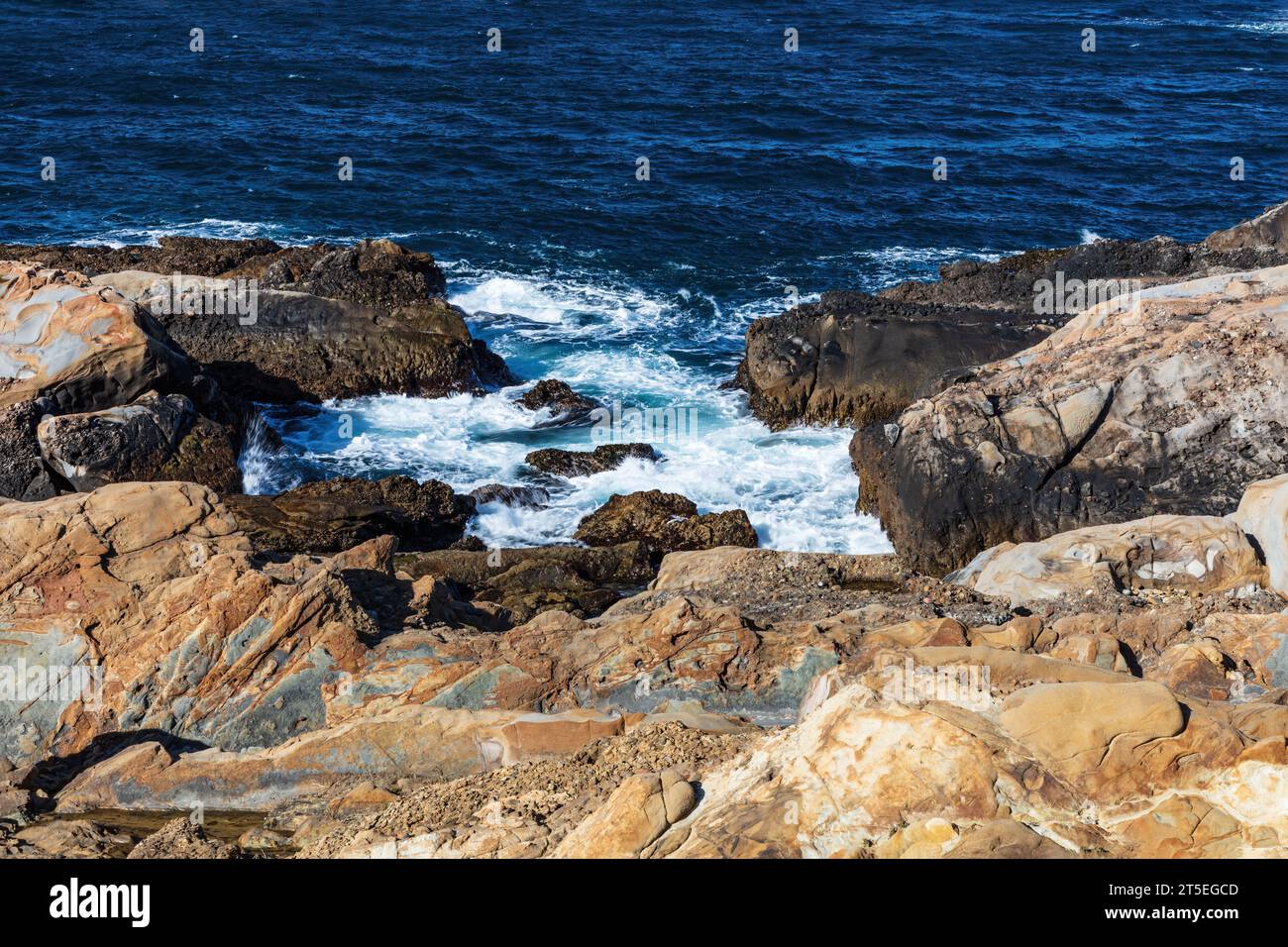 Rocky shoreline of the California coast in Point Lobos State Natural ...
