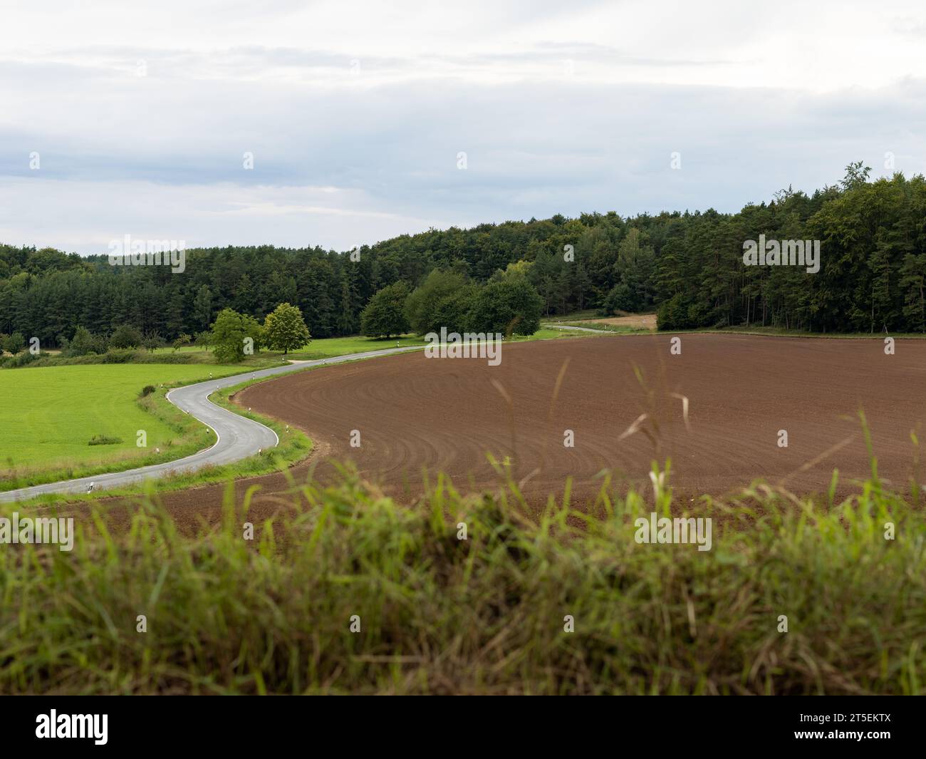 Rural landscape with an agricultural field and an empty street in ...