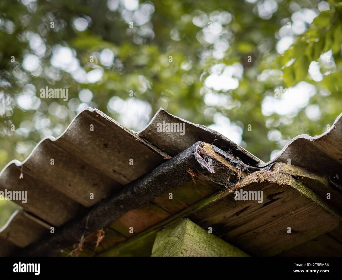 Edges Broken Concrete
