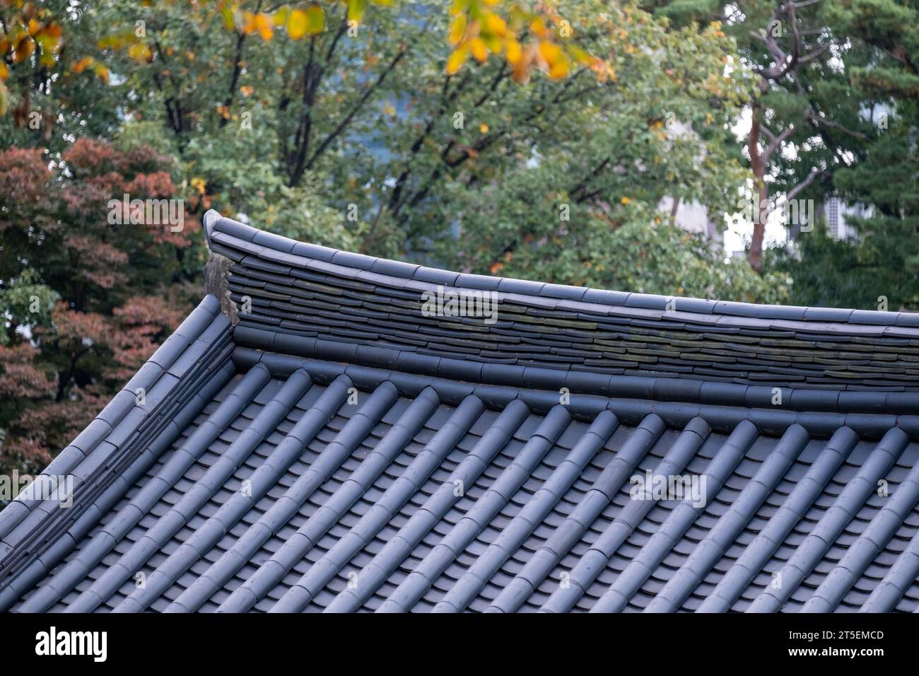 View of Korean style traditional roof Stock Photo - Alamy