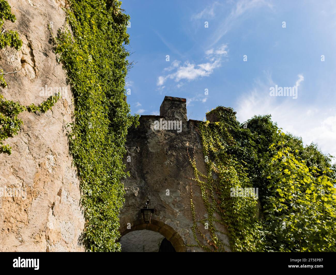 Exterior of a castle with climbing plants on the wall. The ancient fort ...