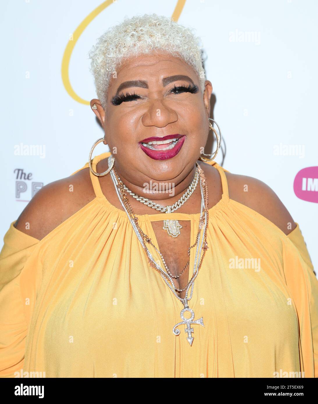 West Hollywood, USA. 04th Nov, 2023. Luenell arrives at The Imagine ...