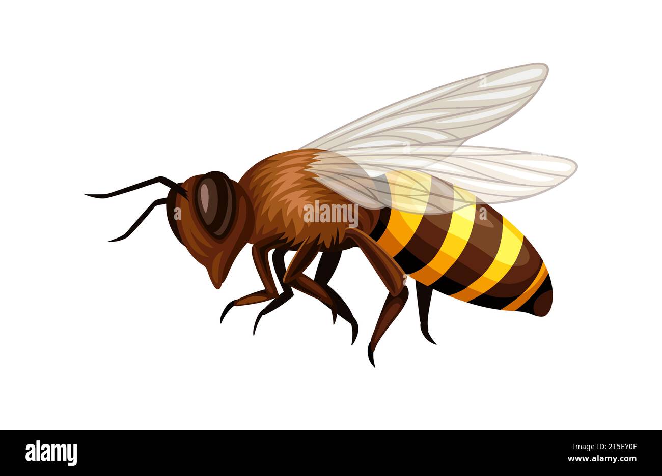 Cute bee vector sticker Stock Vector Image & Art - Alamy