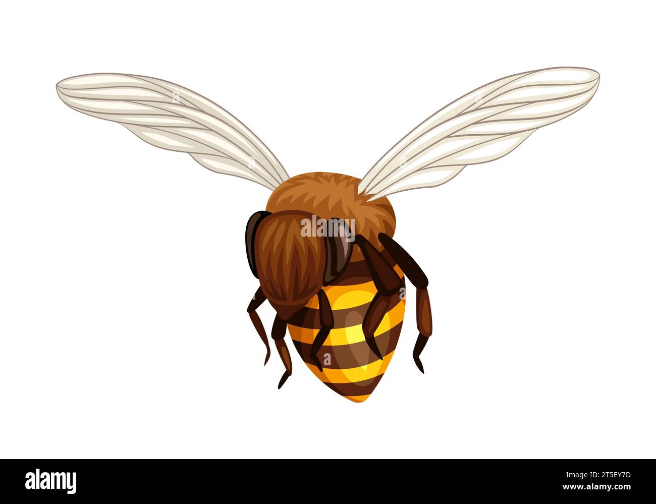 Cute bee vector sticker Stock Vector Image & Art - Alamy