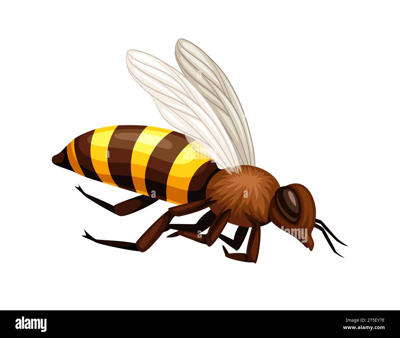 Cute bee vector sticker Stock Vector Image & Art - Alamy