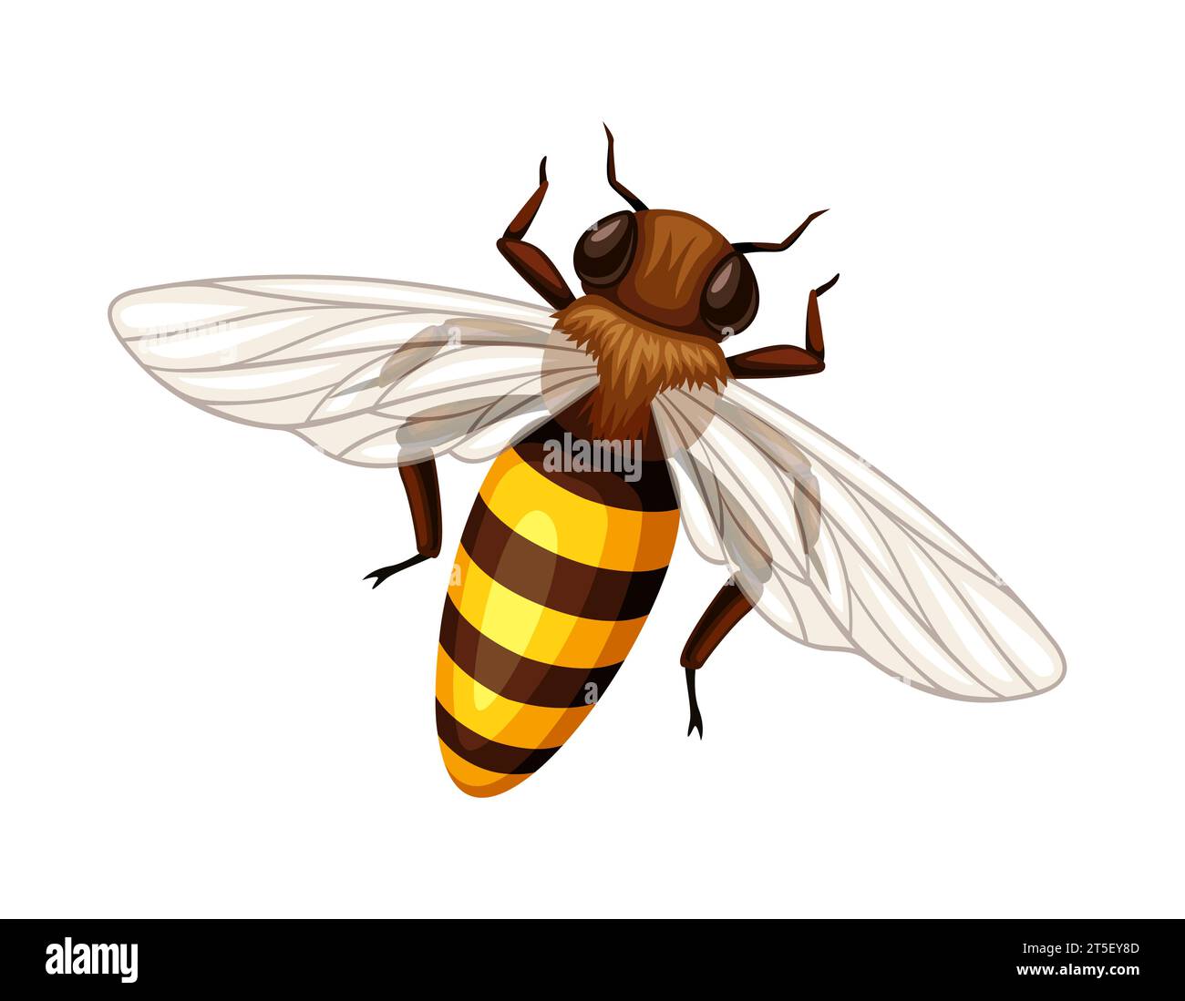 Cute bee vector sticker Stock Vector Image & Art - Alamy