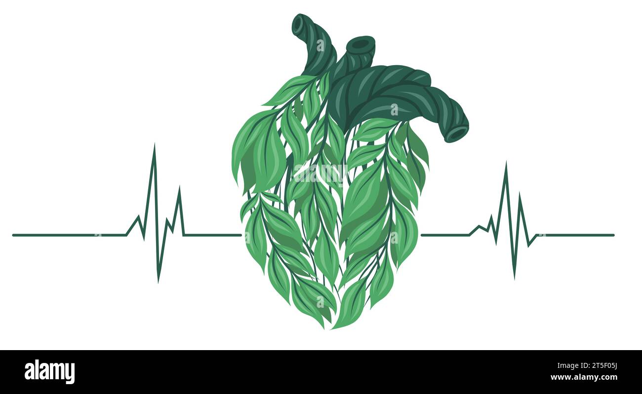 Vector clipart of a healthy human heart made of leaves with cardiogram ...
