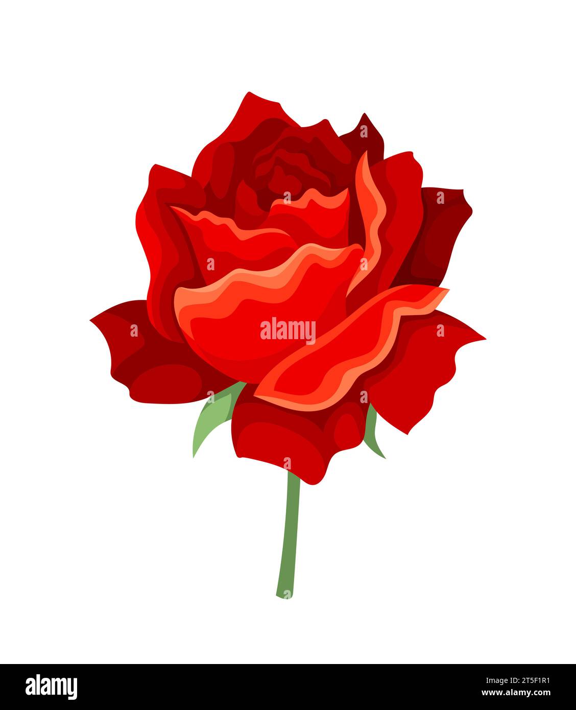 Watercolor cute rose vector Stock Vector Image & Art - Alamy