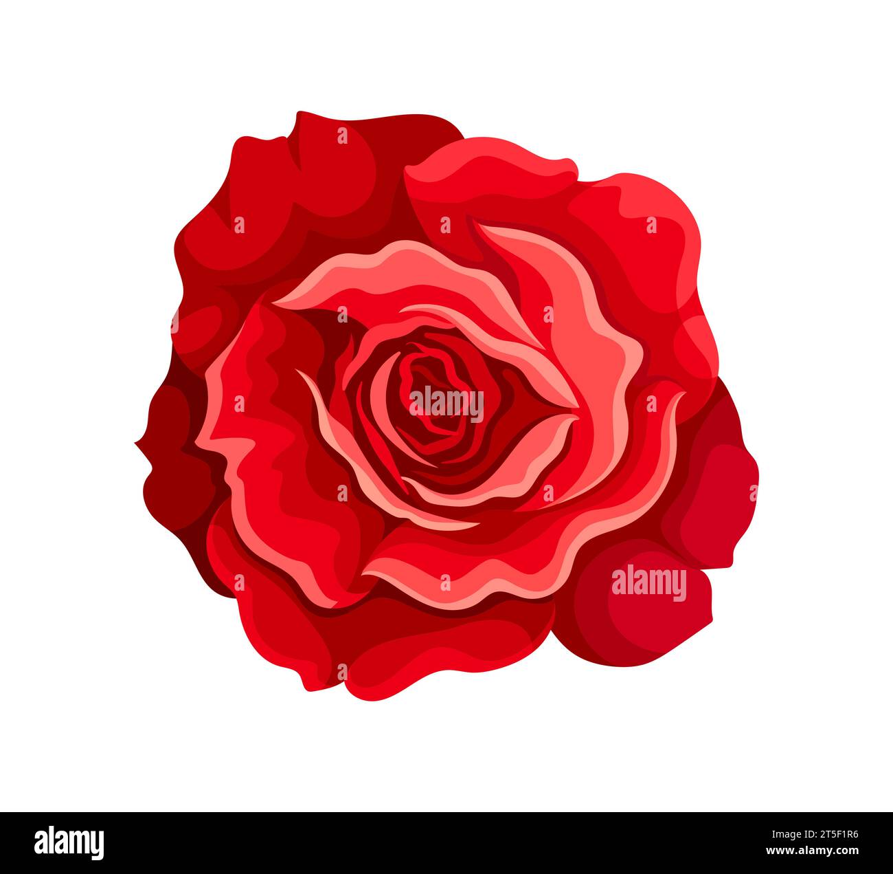 Watercolor cute rose vector Stock Vector Image & Art - Alamy