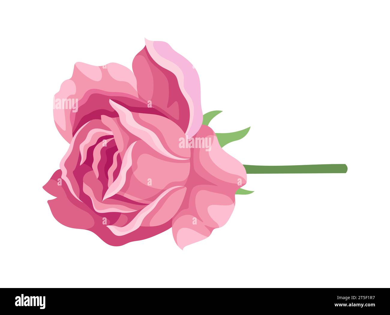 Watercolor cute rose vector Stock Vector Image & Art - Alamy