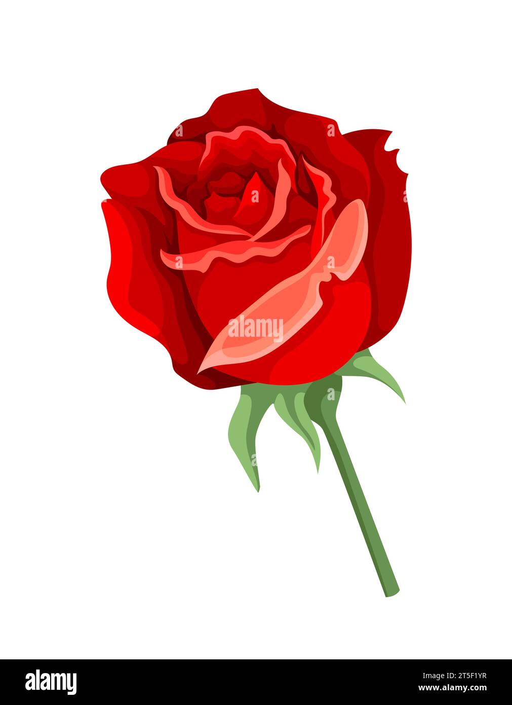 Watercolor cute rose vector Stock Vector Image & Art - Alamy