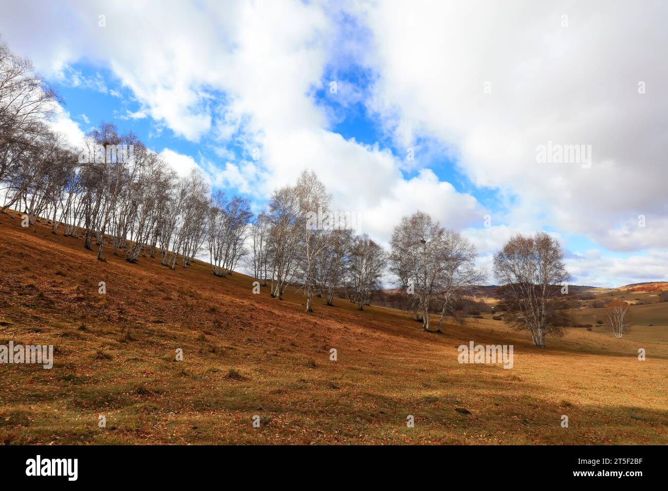 sights of the Ulan prairie in Inner Mongolia, China Stock Photo - Alamy