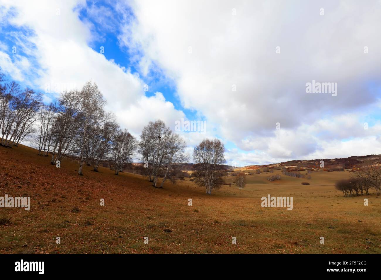 sights of the Ulan prairie in Inner Mongolia, China Stock Photo - Alamy