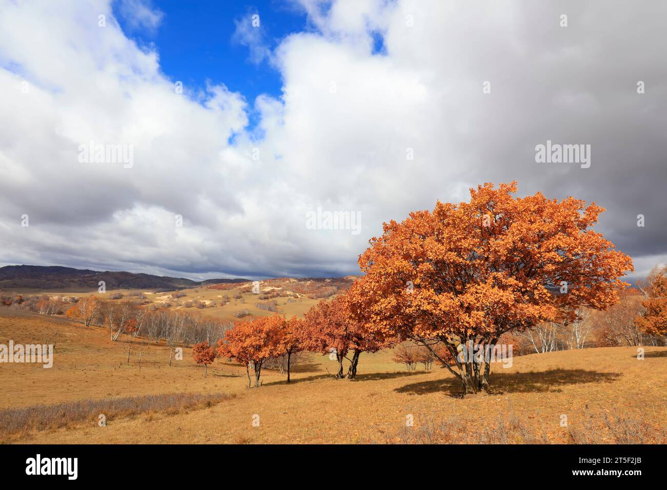 sights of the Ulan prairie in Inner Mongolia, China Stock Photo - Alamy