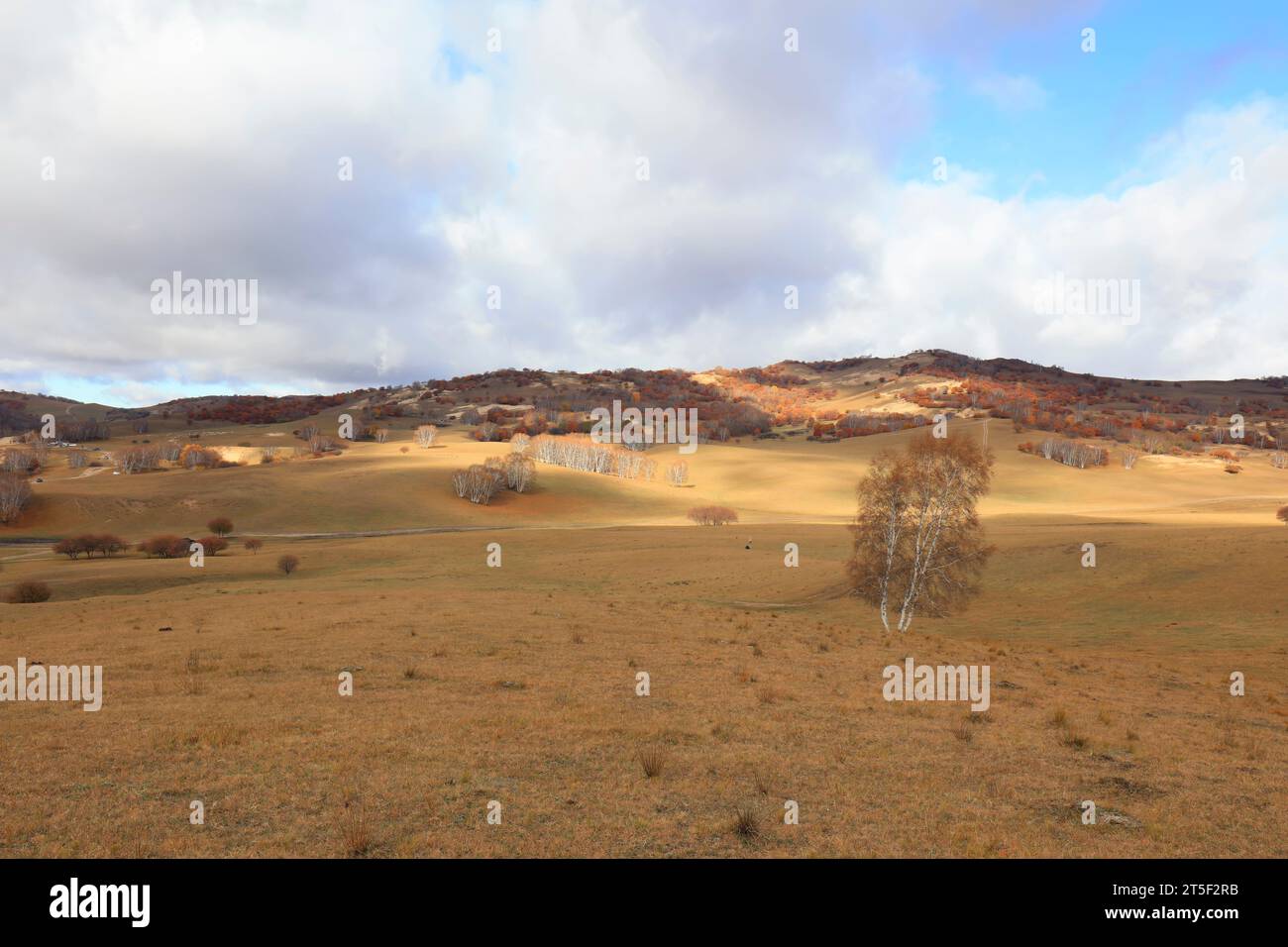 sights of the Ulan prairie in Inner Mongolia, China Stock Photo - Alamy