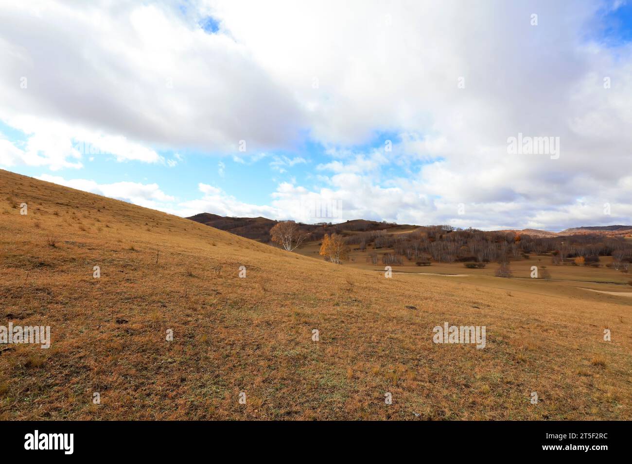 sights of the Ulan prairie in Inner Mongolia, China Stock Photo - Alamy