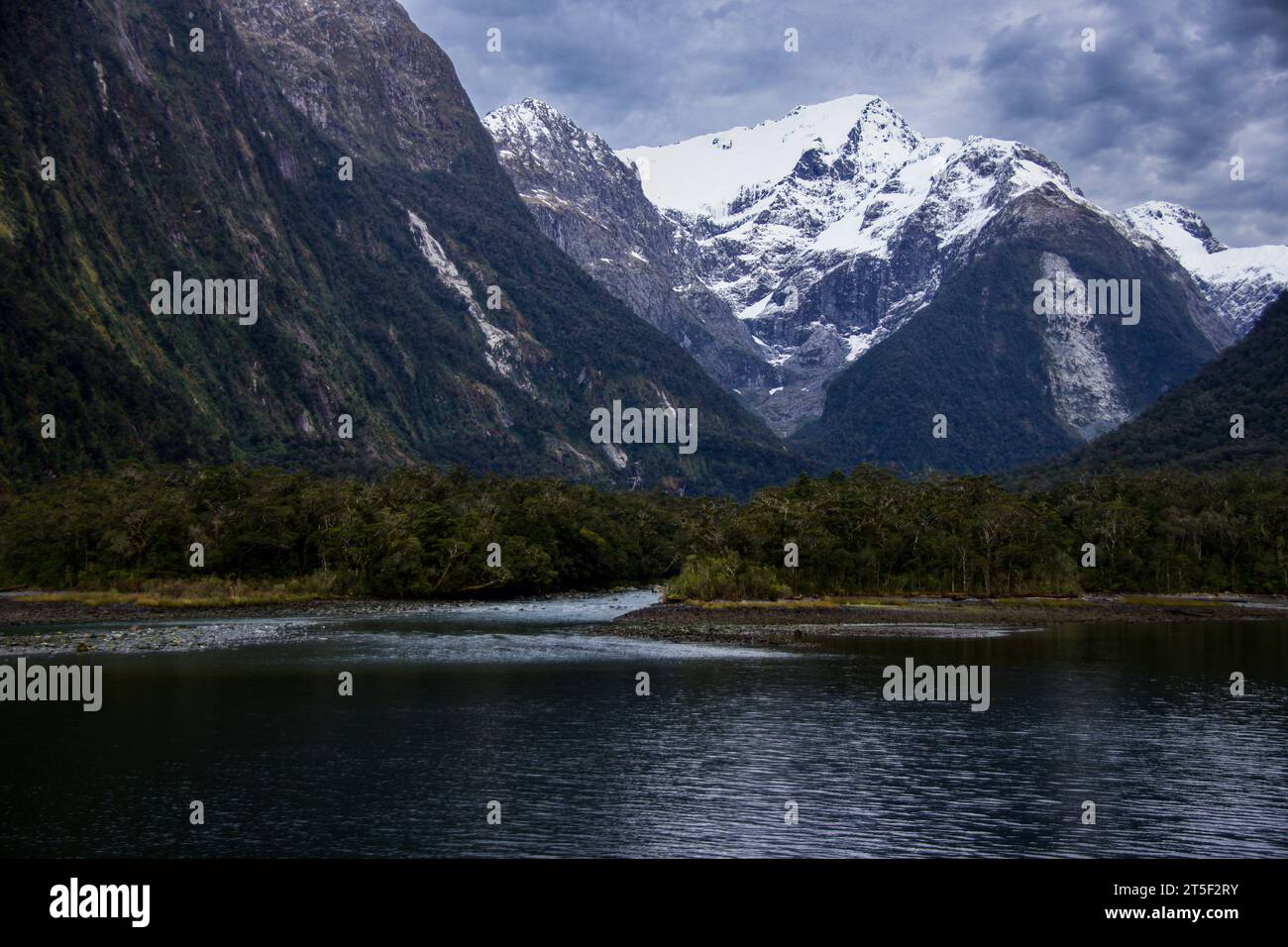 Estuary at Harrison Cove in Milford Sound Fiordland New Zealand Stock ...