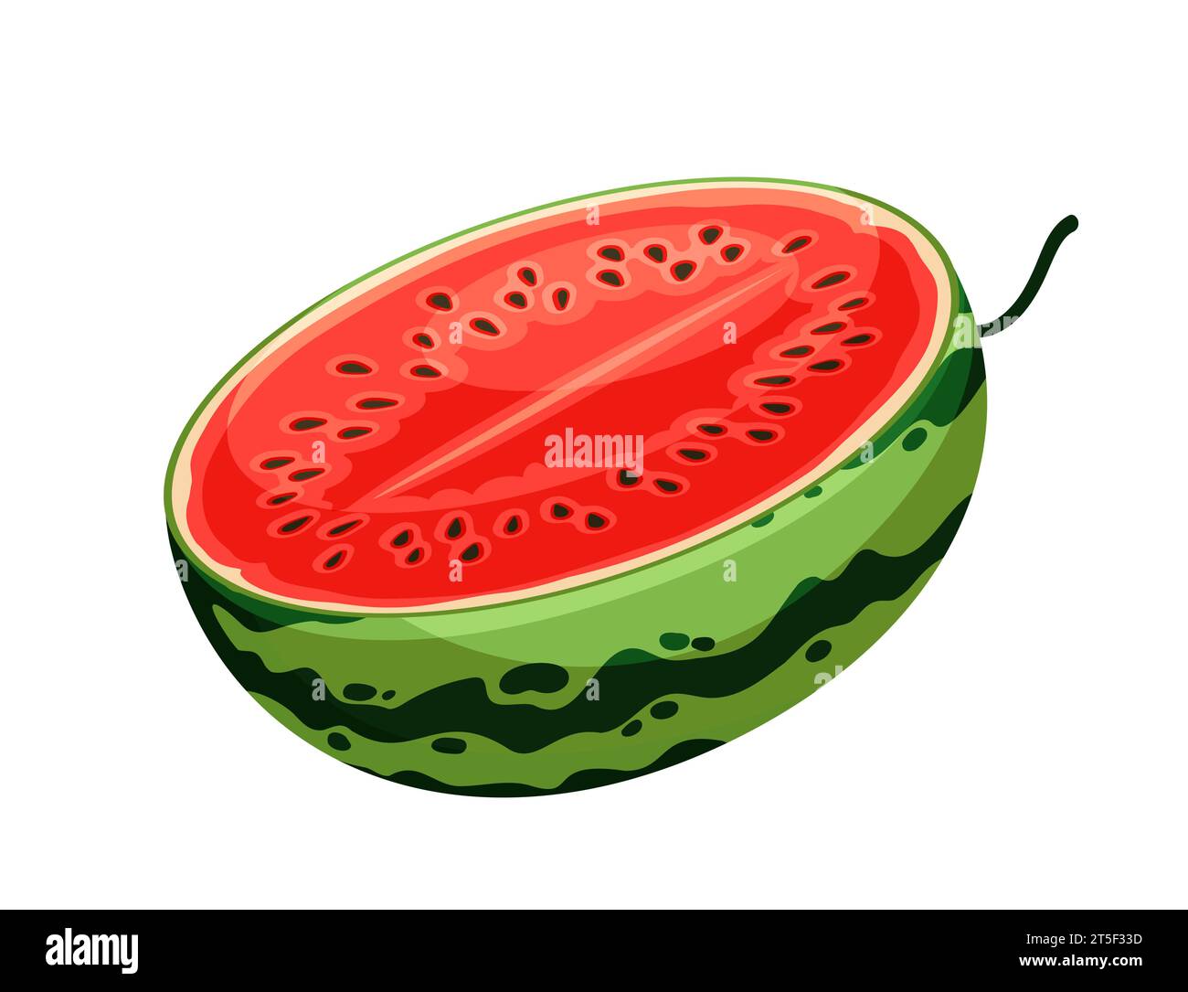 Watermelon watercolor drawing vector Stock Vector Image & Art - Alamy