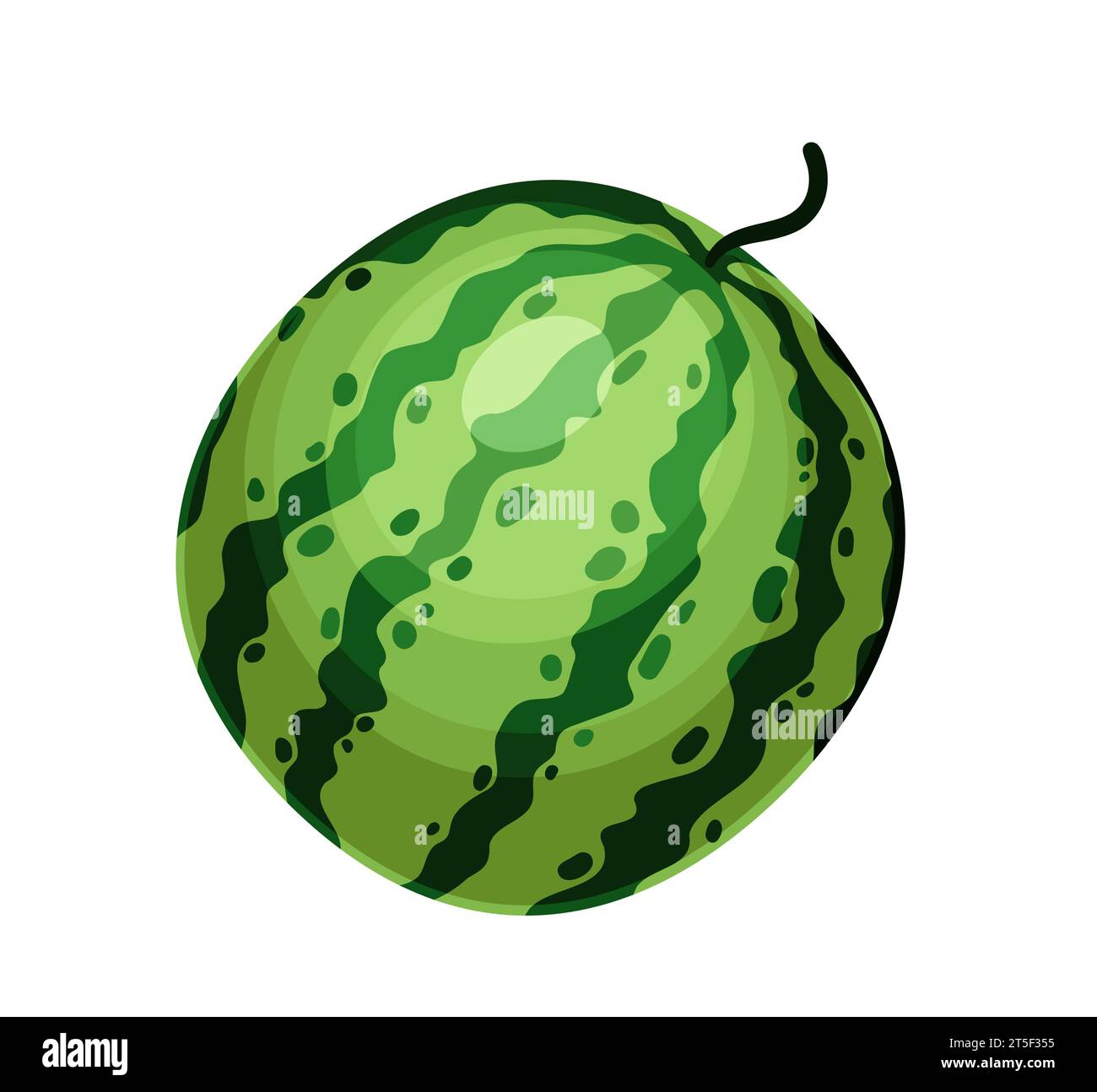 Watermelon watercolor drawing vector Stock Vector Image & Art - Alamy