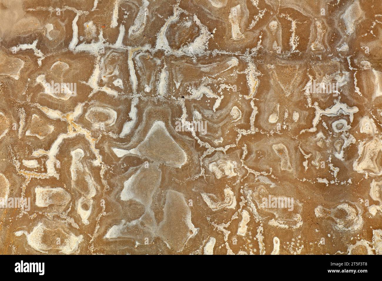 Salt and alkali texture on the wall of cement Stock Photo - Alamy