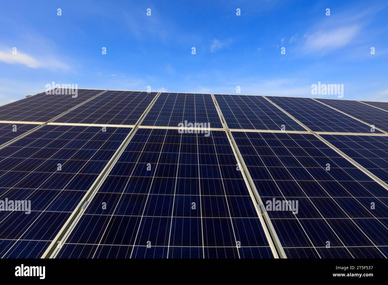 Monocrystalline silicon photovoltaic solar cell panel Stock Photo - Alamy