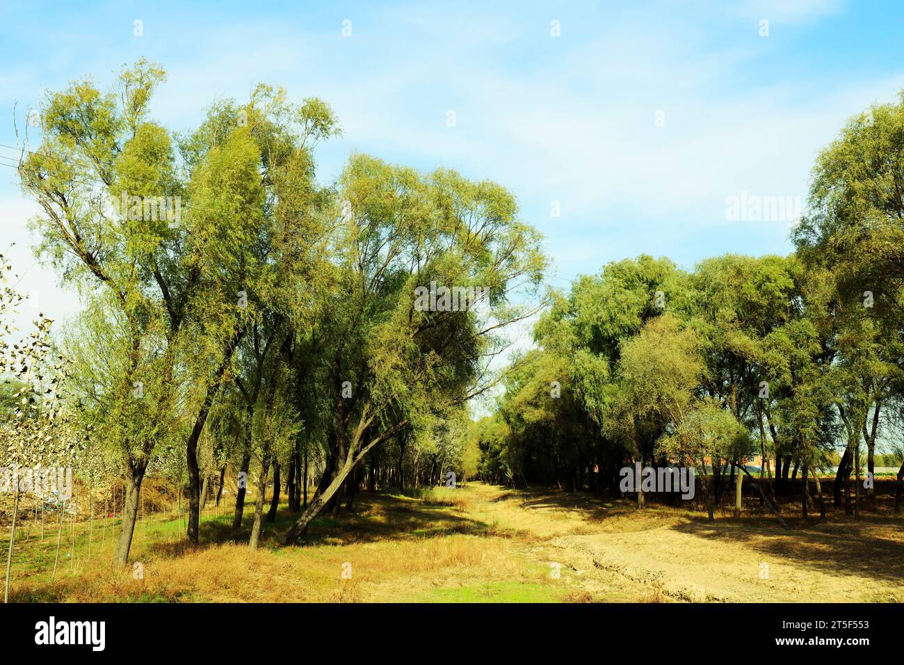 dry river course outdoors Stock Photo - Alamy