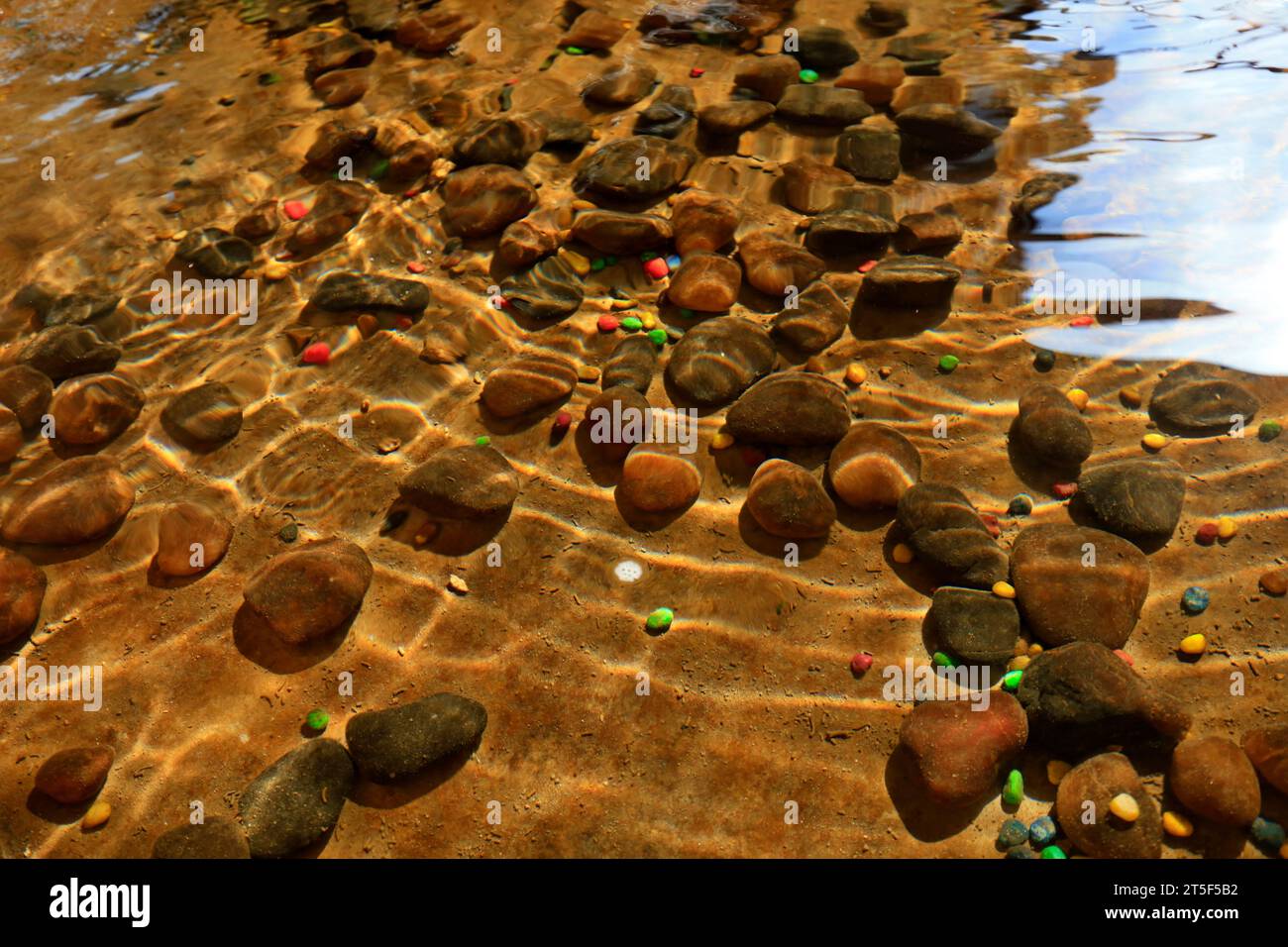 Clear and transparent pebbles of lake water Stock Photo - Alamy