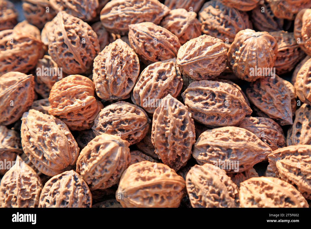Pecan feature hi-res stock photography and images - Alamy