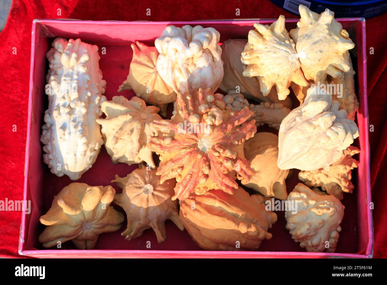 Gourd shape hi-res stock photography and images - Alamy