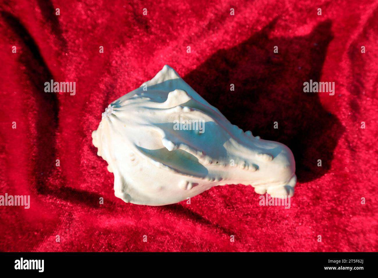 shape of the gourd is very strange Stock Photo - Alamy