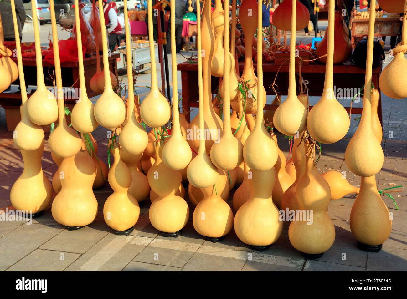 Special-shaped gourd Close-up Stock Photo - Alamy