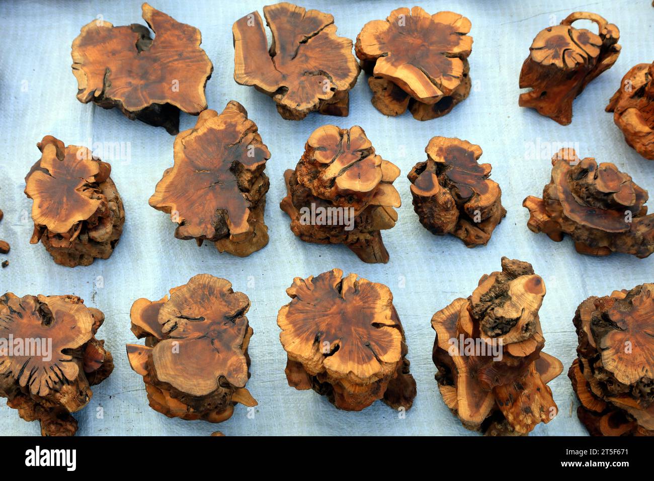 Medicinal raw material hi-res stock photography and images - Alamy