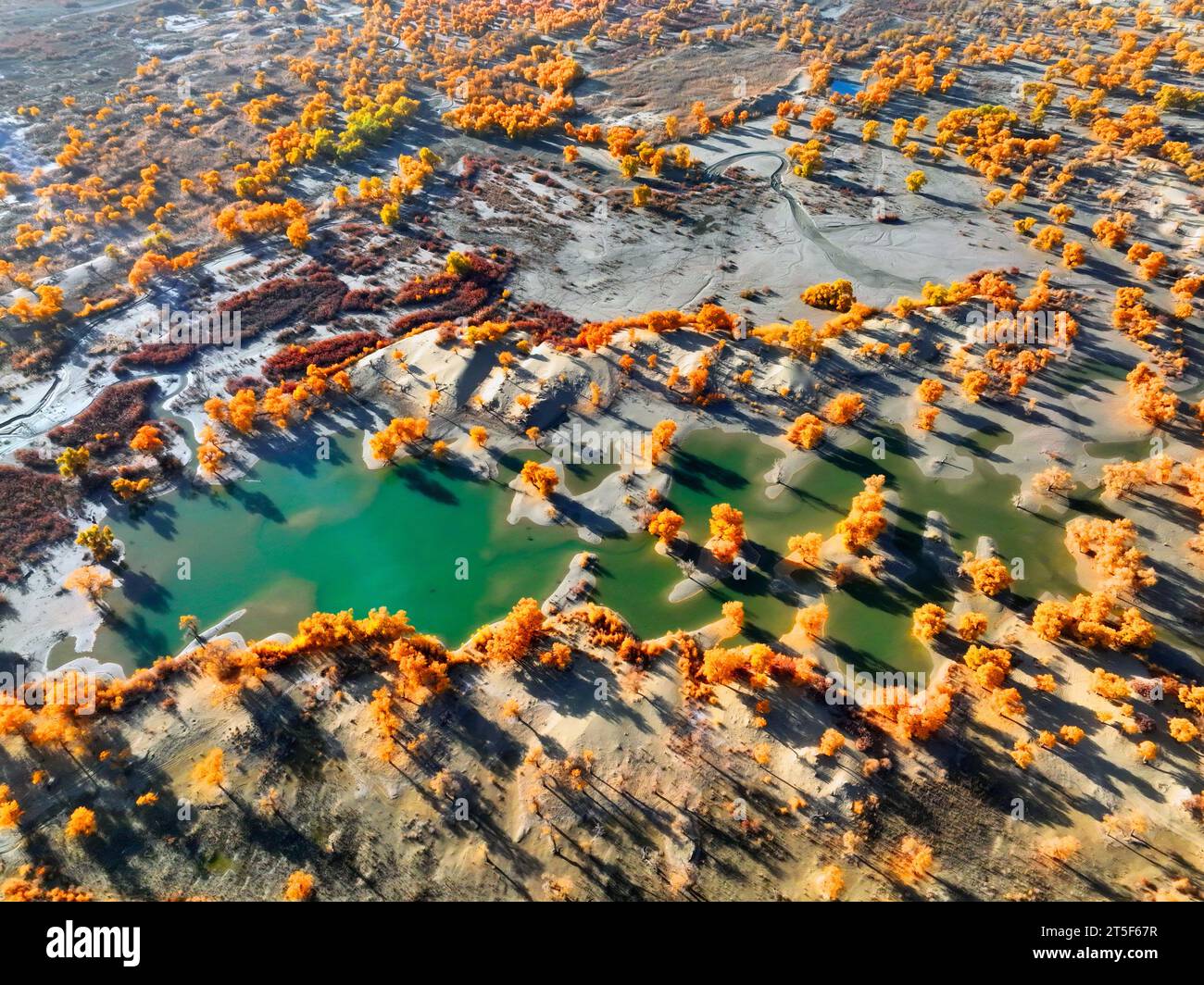 BAZHOU, CHINA - NOVEMBER 4, 2023 - Aerial photo taken on Nov 4, 2023 ...