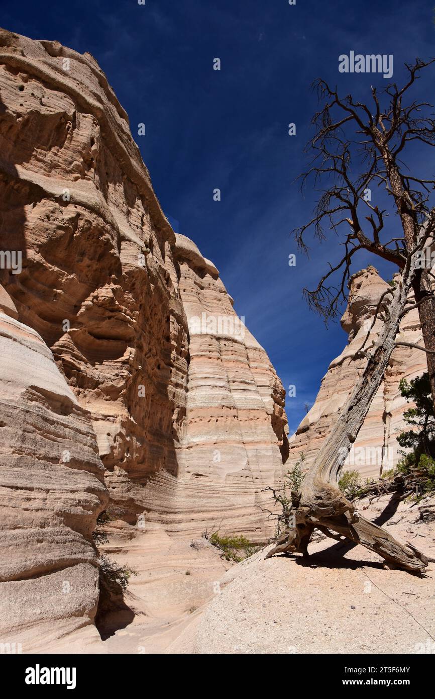 Tuff cones hi-res stock photography and images - Alamy