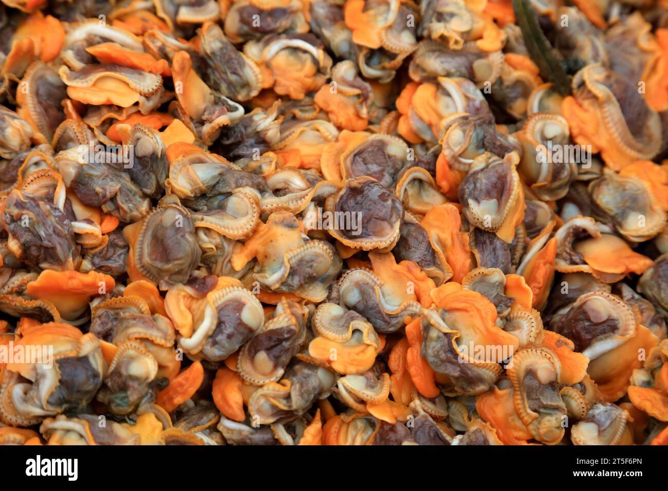 Seafood shellfish in the kitchen Stock Photo - Alamy