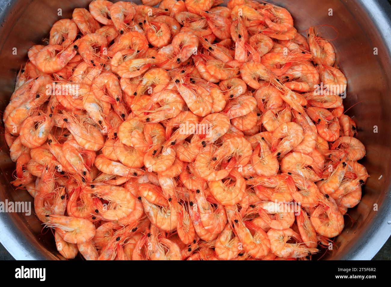 Cooked prawns in the pot Stock Photo - Alamy