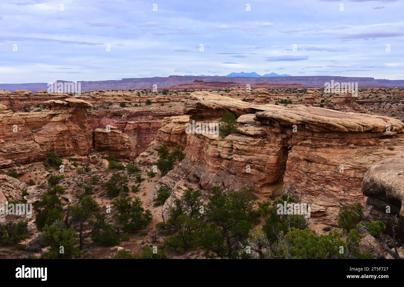 slickrock foot trail in the needles district in canyonlands national ...