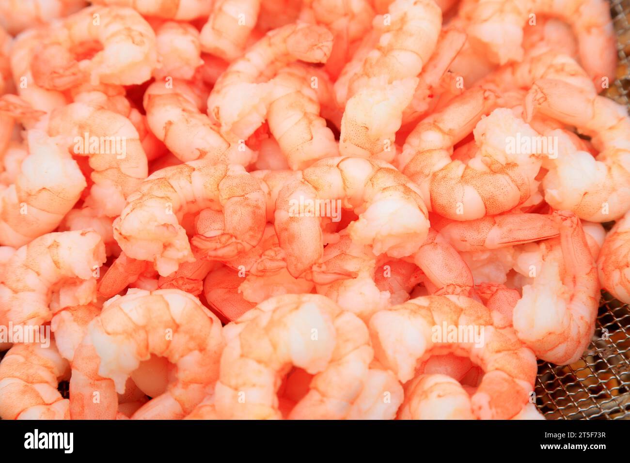 Shrimp meat hi-res stock photography and images - Alamy