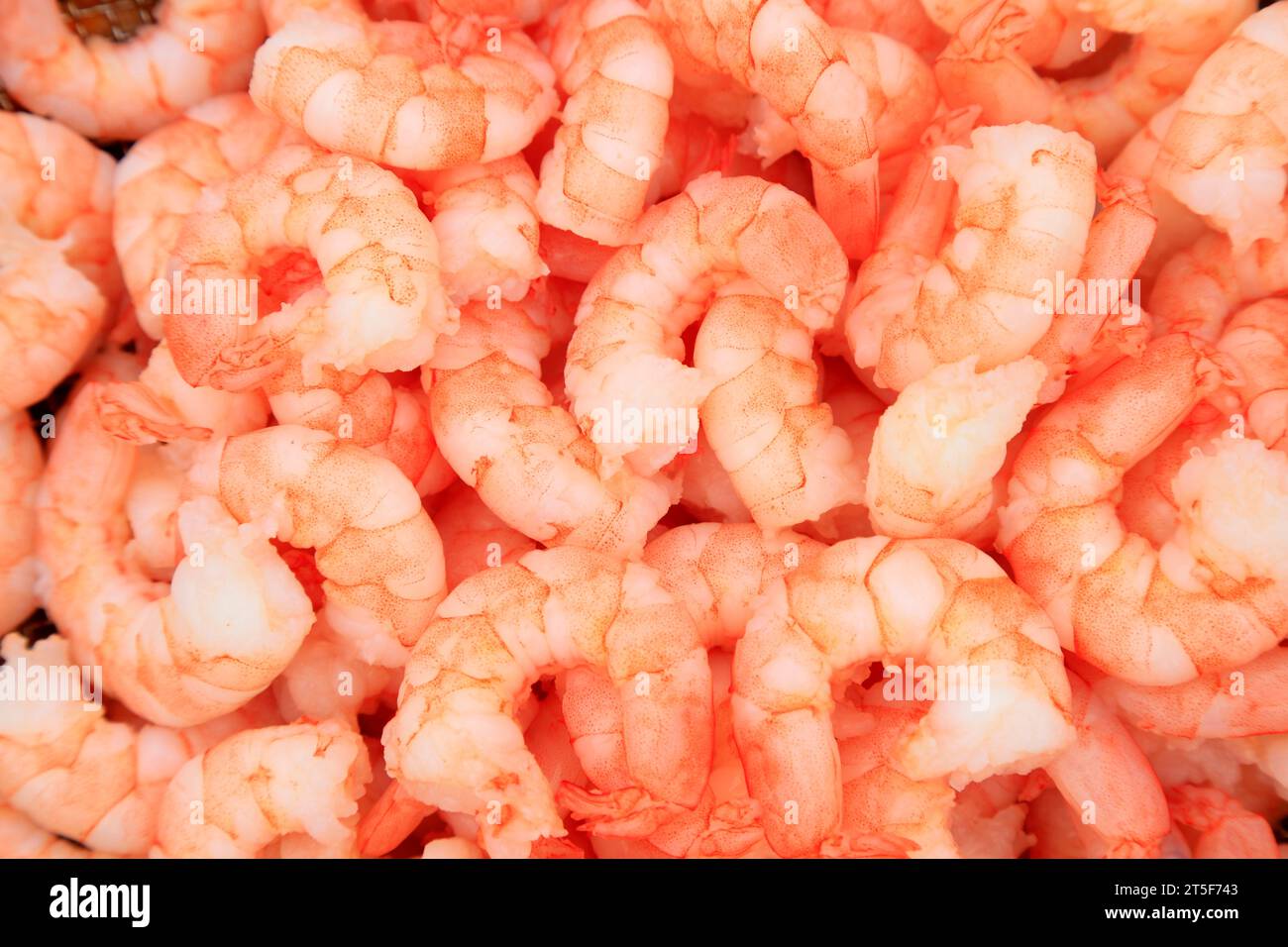 Shrimp meat are in the kitchen Stock Photo - Alamy