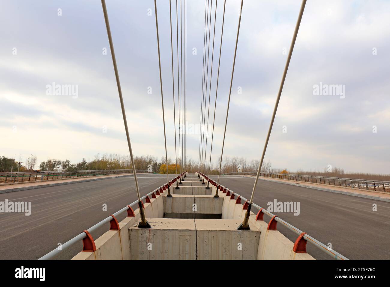 Bridge cable-stayed cable Stock Photo - Alamy