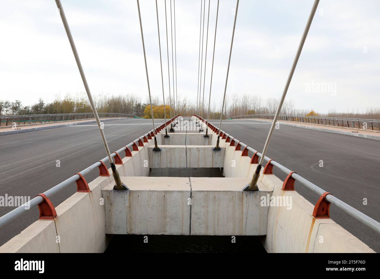 Bridge cable-stayed cable Stock Photo - Alamy