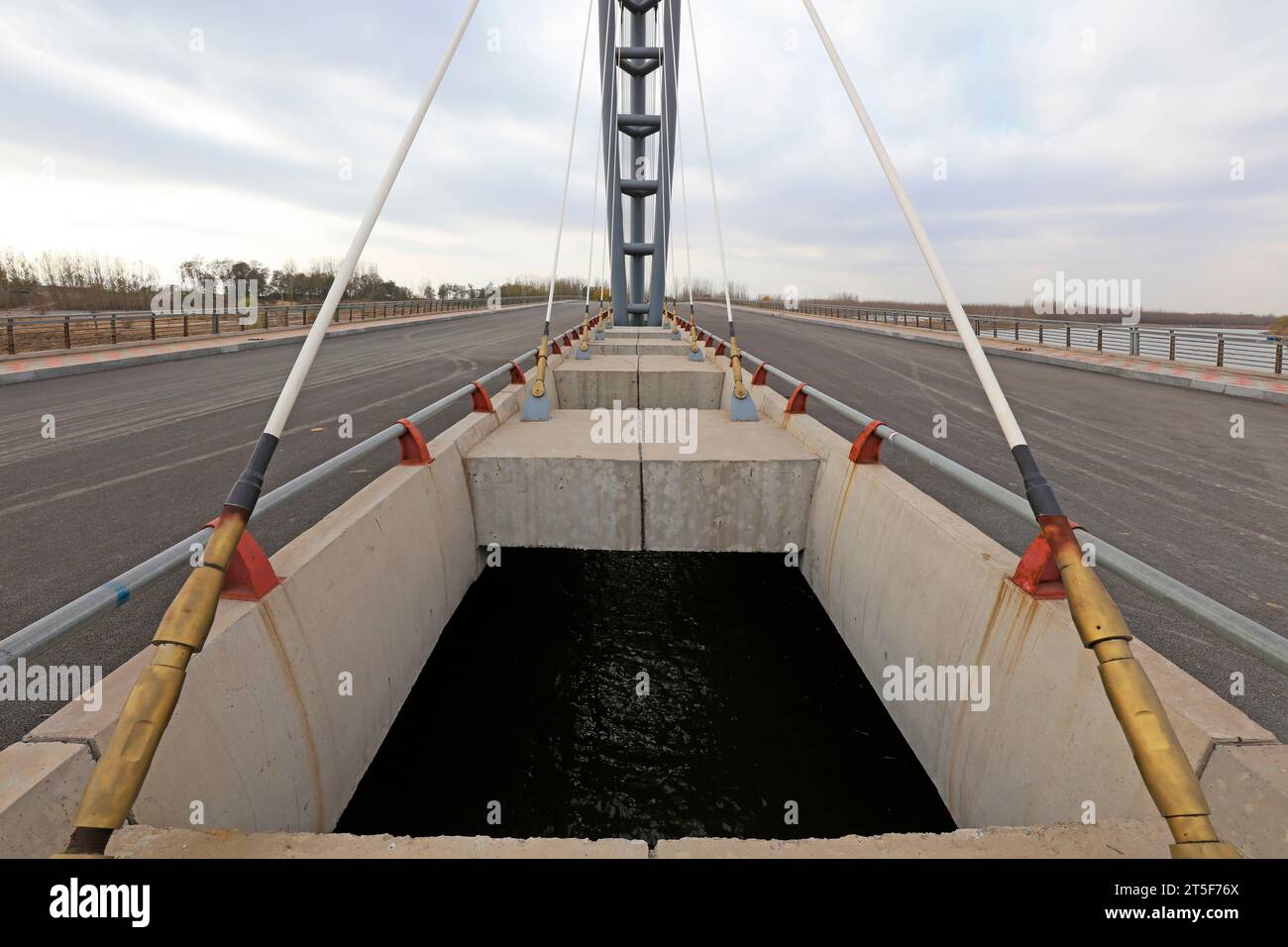 Bridge cable-stayed cable Stock Photo - Alamy