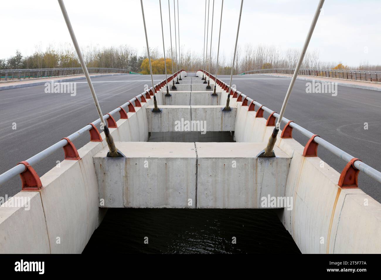 Bridge cable-stayed cable Stock Photo - Alamy