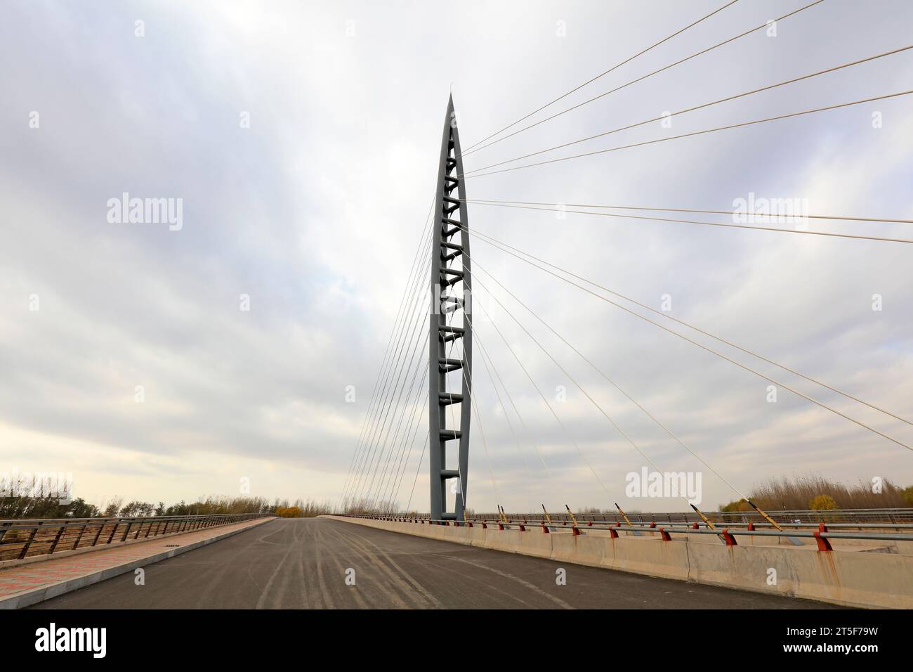 Bridge cable-stayed steel beam Stock Photo - Alamy