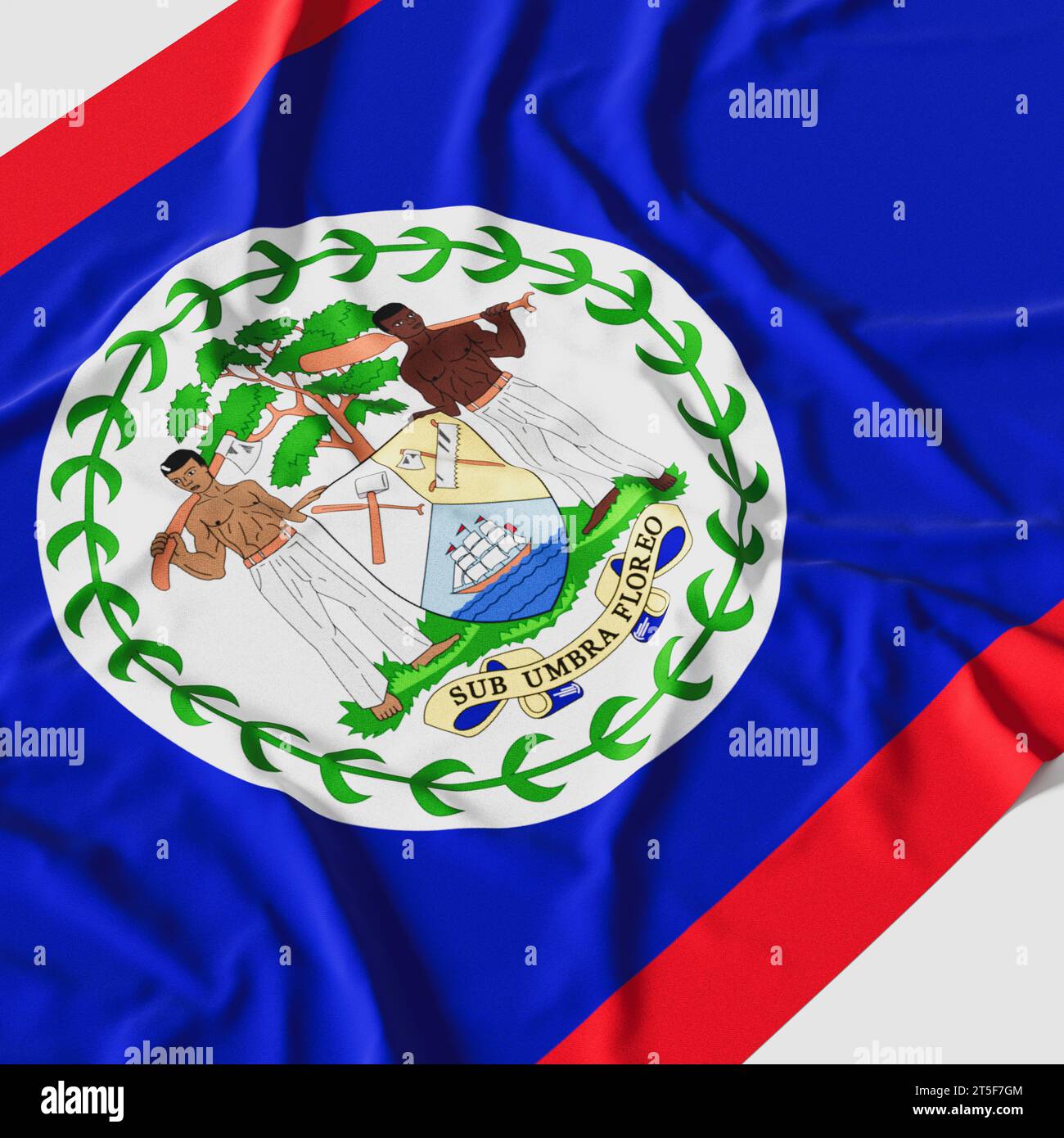 Flag of Belize. Fabric textured Belize flag isolated on white ...
