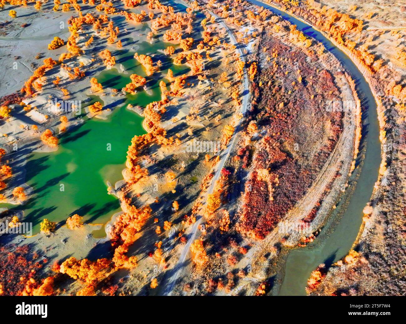 Bazhou, China. 05th Nov, 2023. BAZHOU, CHINA - NOVEMBER 4, 2023 ...