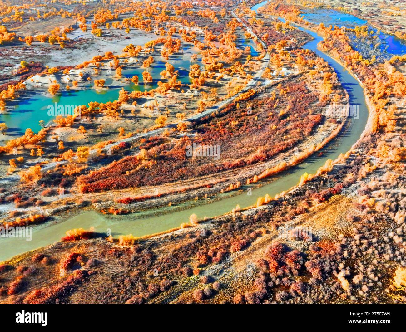 Bazhou, China. 05th Nov, 2023. BAZHOU, CHINA - NOVEMBER 4, 2023 ...